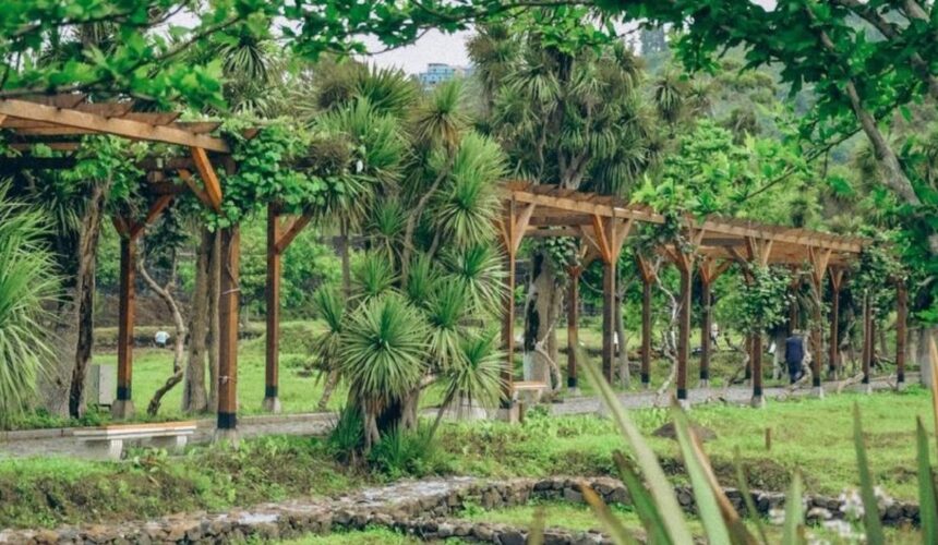 Exploring Ancient Colchis (5 days/4 nights) - Geo Mandarin